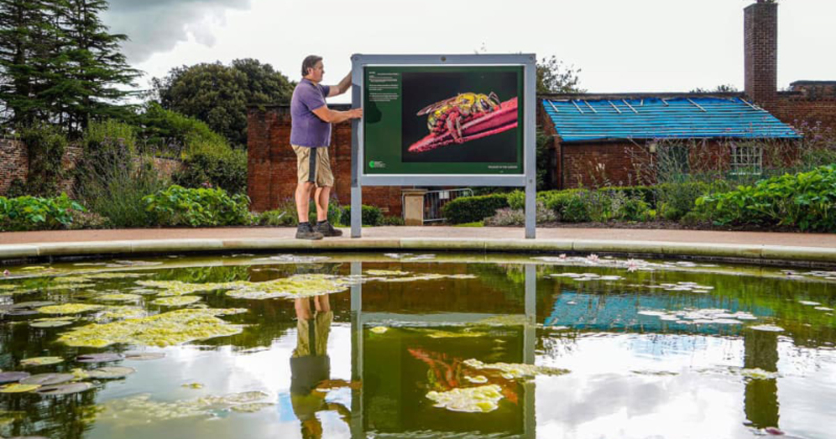 Cannon Hall Museum, Park and Gardens hosts its first ever outdoor ...